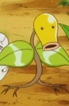 Bell-Sprout (Pokemon) | Nathan's world Wiki | Fandom