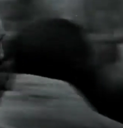 Sonny Liston | Nathan's world Wiki | Fandom