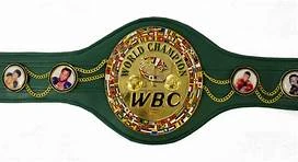 WBC World Welterweight Championship | Nathan's world Wiki | Fandom