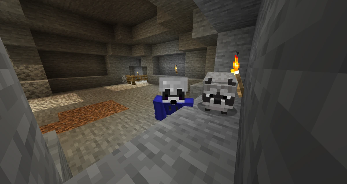 Raccy | NationsSMP Wiki | Fandom