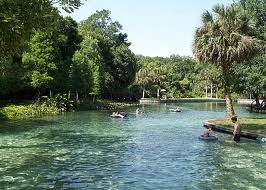 Cliff Park | Wikination | Fandom