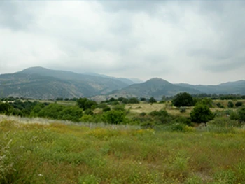 Central Heights | Wikination | Fandom