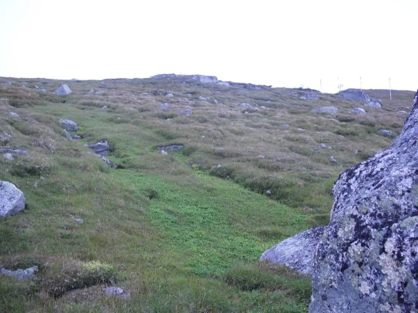 That Rugge | Wikination | Fandom