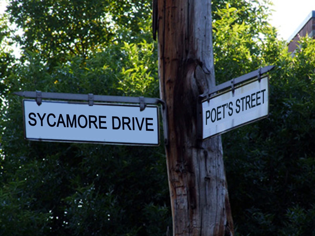 Sycamore Drive | Wikination | Fandom