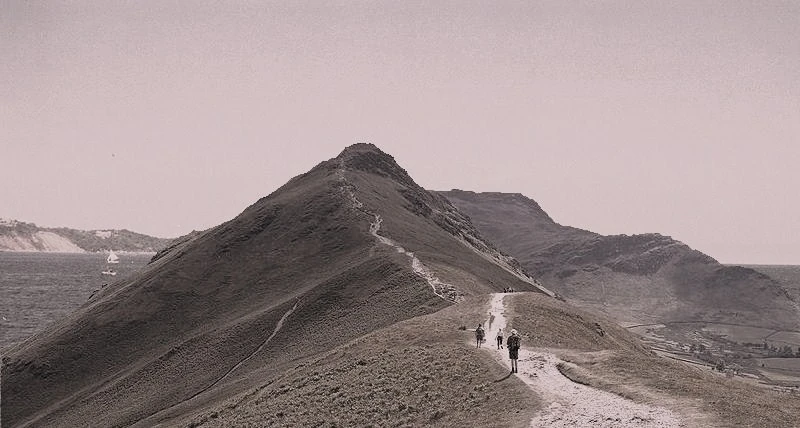 The Beak | Wikination | Fandom