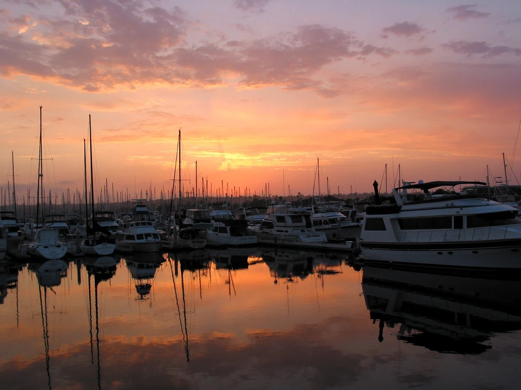 Sparrow Building | Wikination | Fandom