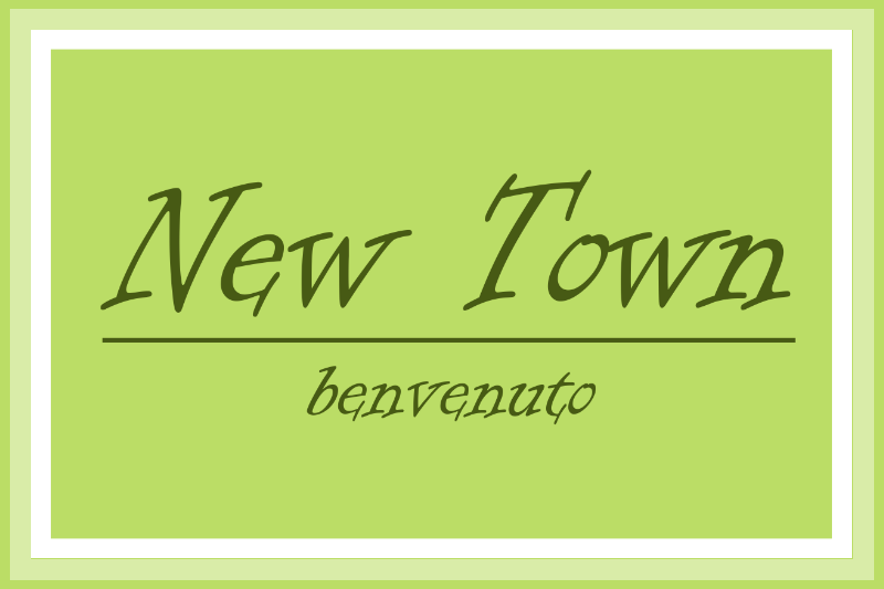 New Town | Wikination | Fandom