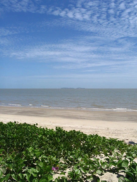 Love Island | Wikination | Fandom