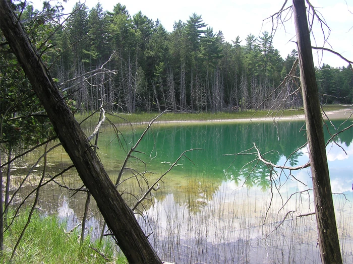 Lake Vizzock | Wikination | Fandom