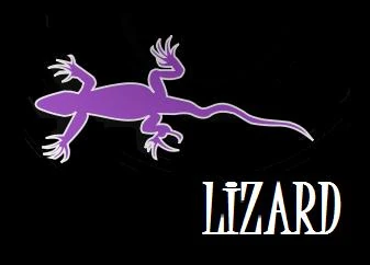 Lizard | Wikination | Fandom