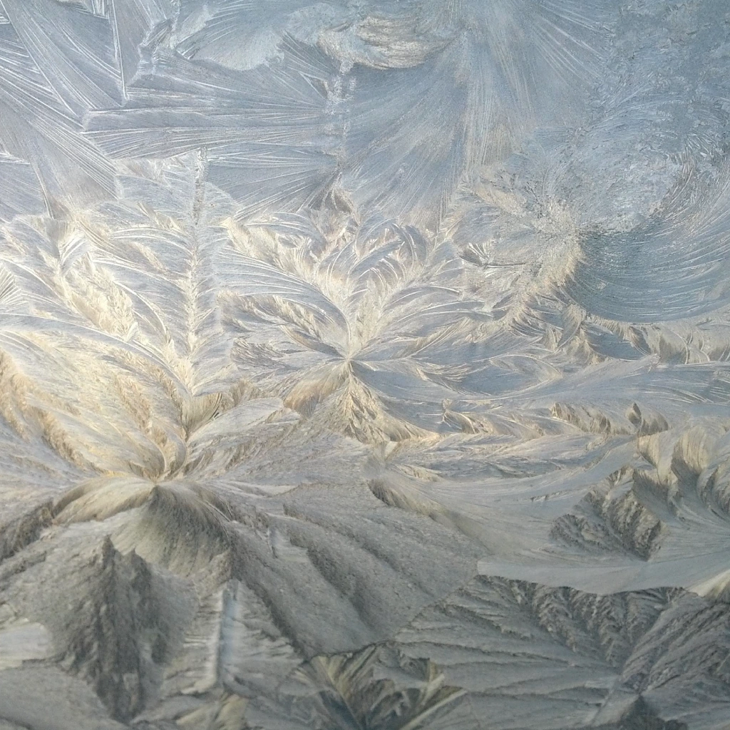 Fuzzy Haze | Wikination | Fandom