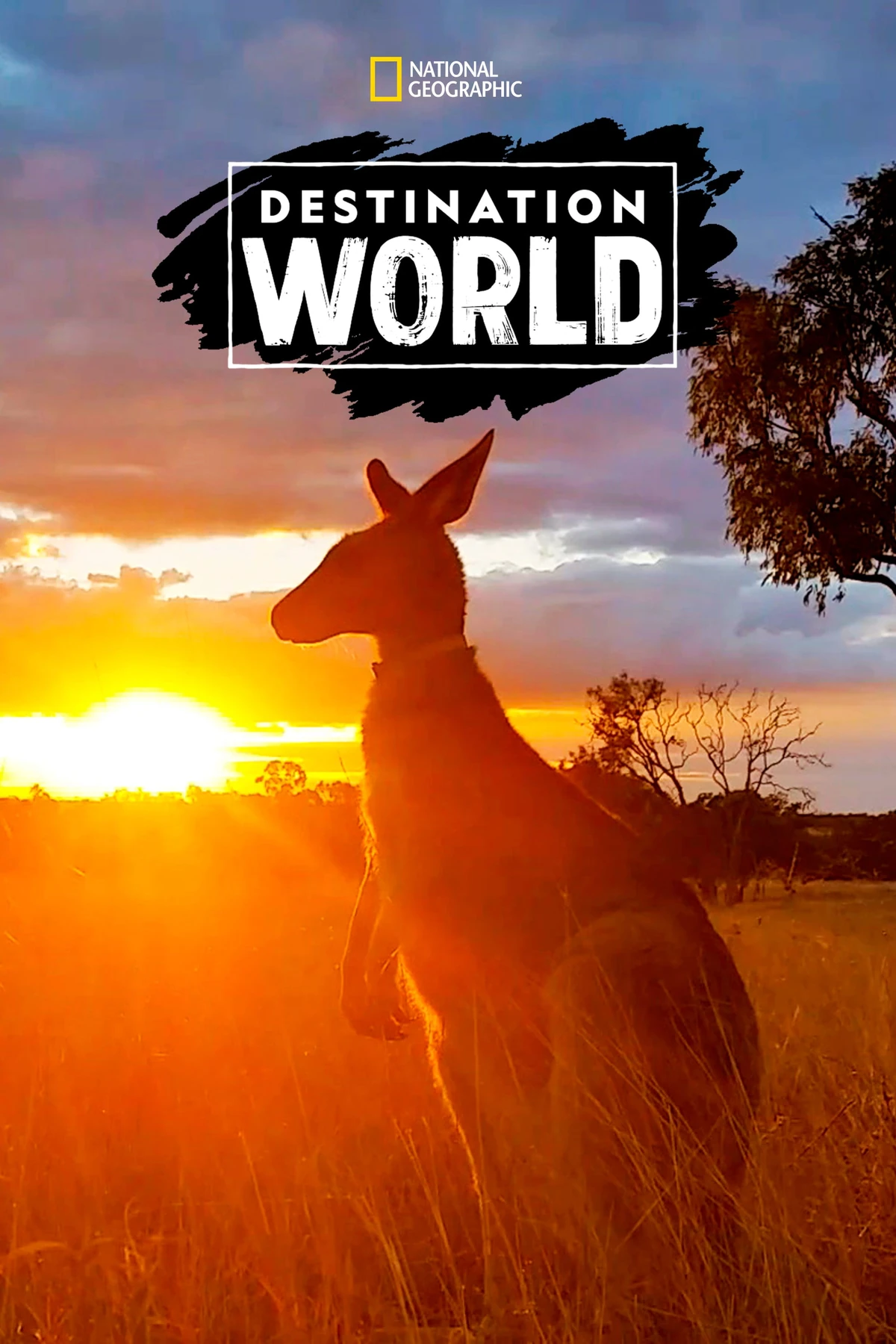 Destination World | National Geographic (Worldwide) Wiki | Fandom