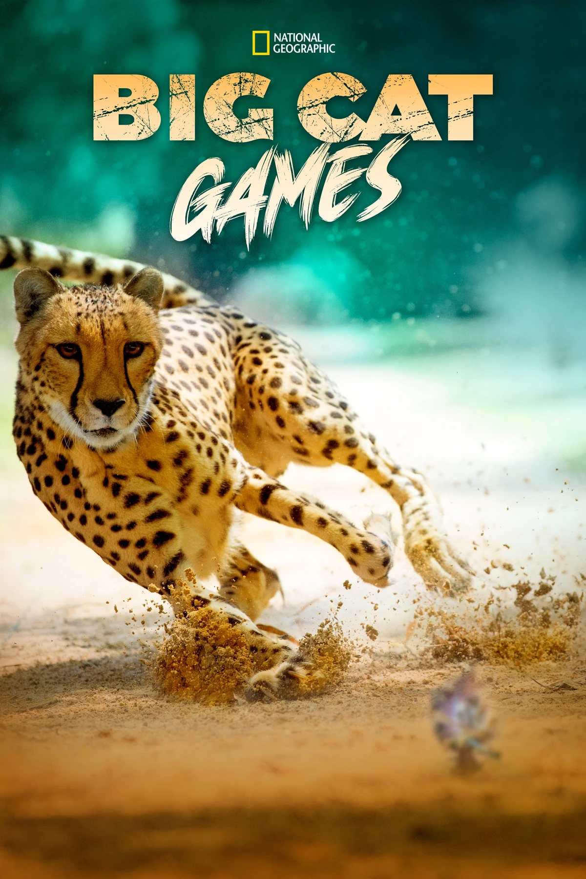 Big Cat Games | National Geographic (Worldwide) Wiki | Fandom