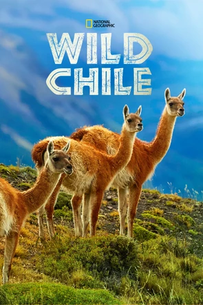 Wild Chile | National Geographic (Worldwide) Wiki | Fandom