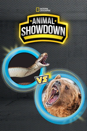 Animal Showdown | National Geographic (Worldwide) Wiki | Fandom