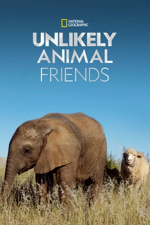Unlikely Animal Friends | National Geographic (Worldwide) Wiki | Fandom