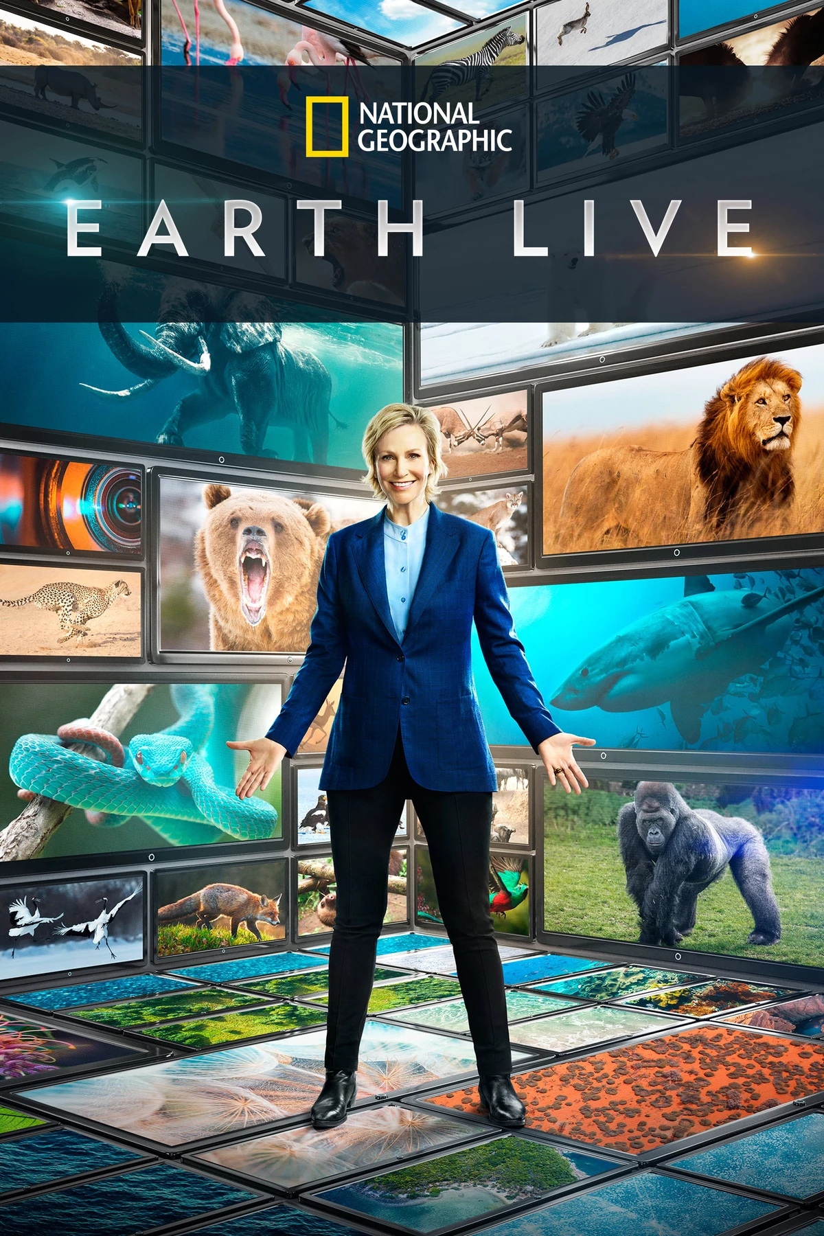 Earth Live | National Geographic (Worldwide) Wiki | Fandom