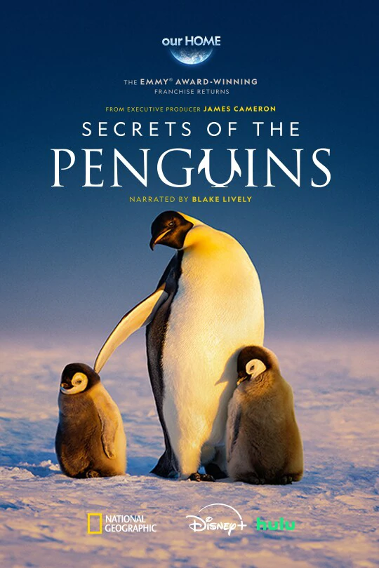 Secrets of the Penguins | National Geographic Wiki | Fandom