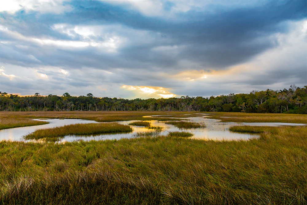 Timucuan Ecological and Historic Preserve | National Parks Wiki | Fandom