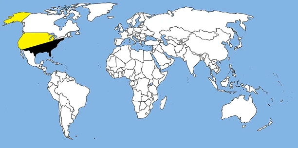 Ancapistan | NationsGame Wikia | Fandom