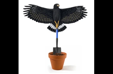 Mertopia | WikiStates | Fandom