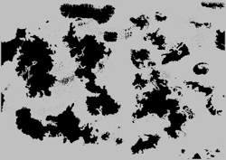 Nova Pictavia | WikiStates | Fandom