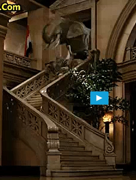 African Elephant | Night At The Museum Wiki | Fandom