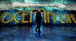 Ocean Life | Night At The Museum Wiki | Fandom