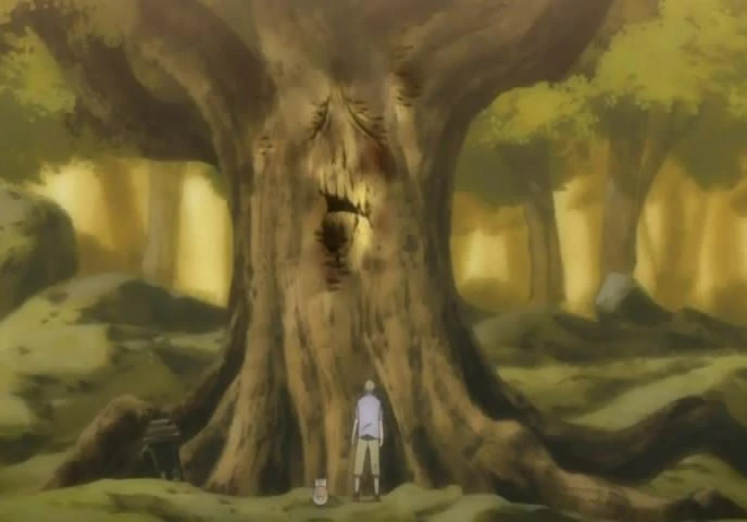 Sawarabi (Old Tree)/Gallery | Natsume Yuujinchou Wiki | Fandom