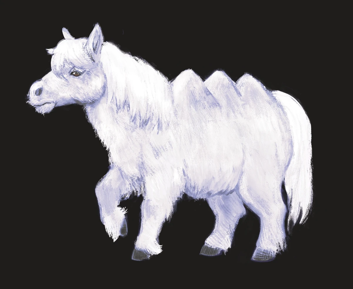 Lil’ Raidion | Natural Six Wiki | Fandom