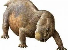 Dicynodon | Natural Wiki | Fandom