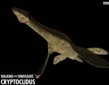 Cryptoclidus | Natural Wiki | Fandom