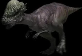 Pachycephalosaurus | Natural Wiki | Fandom