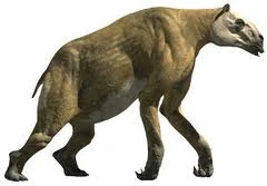 Chalicotherium | Natural Wiki | Fandom
