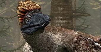 Microraptor | Natural Wiki | Fandom