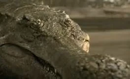 Saltwater crocodile | Natural Wiki | Fandom