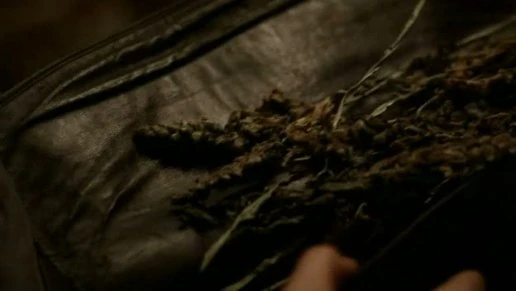 Wolfsbane | Natural Instincts RPG Wiki | Fandom