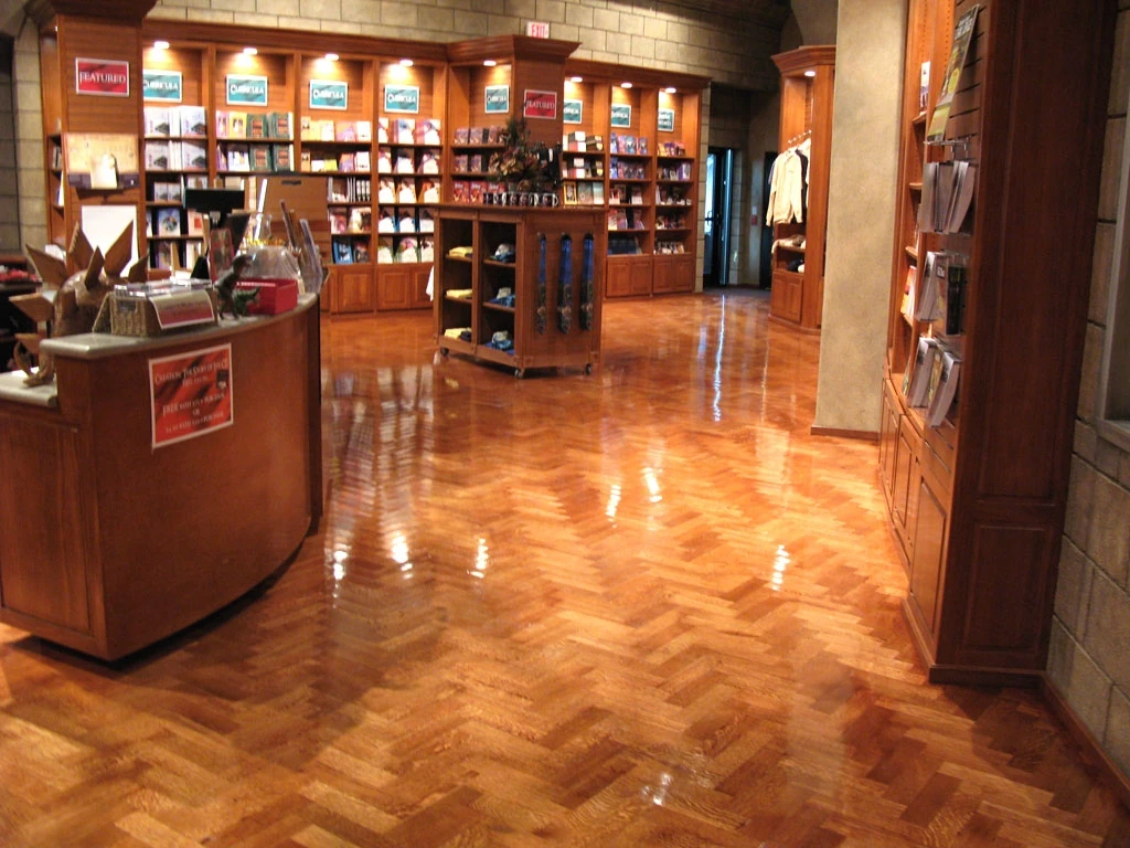 Magic & Mystics Bookstore | Natural Instincts RPG Wiki | Fandom