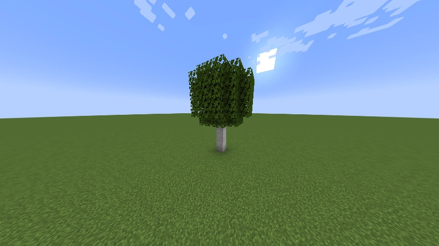 Beech | Naturality Minecraft Mod official Wiki | Fandom