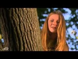 Forest for the Trees | Naturally Sadie Wiki | Fandom