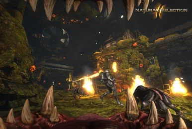 Natural Selection 2 Onos