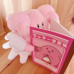 Kaue | NaturaORG Wiki | Fandom