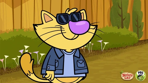 Phil (Cat) | Nature Cat Wikia | Fandom