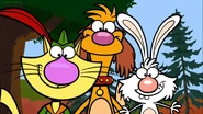 Nature Cat/Gallery | Nature Cat Wikia | Fandom