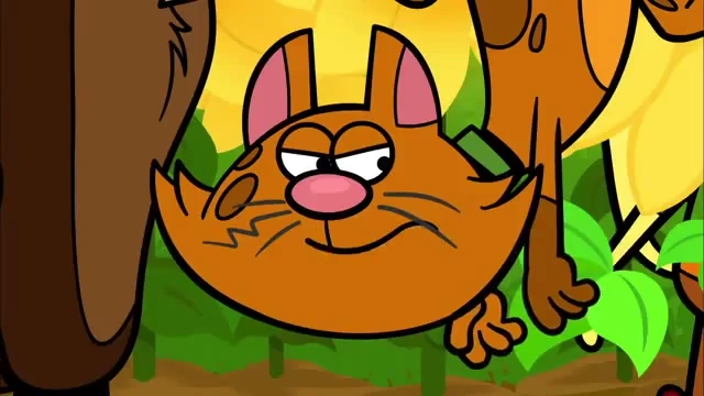 Jimmy Cat | Nature Cat Wikia | Fandom