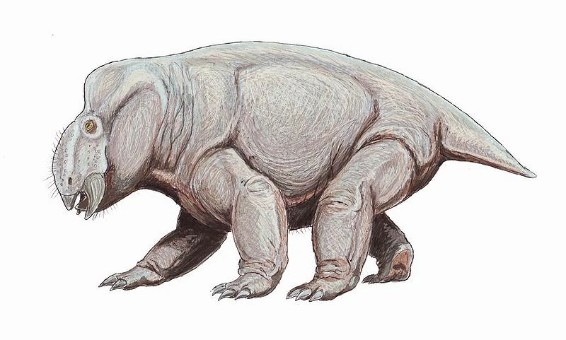 Placerias | Nature Wiki | Fandom