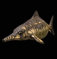 Ophthalmosaurus | Nature Wiki | Fandom