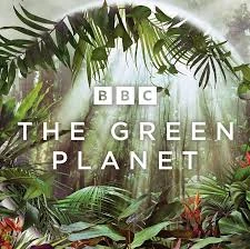 The Green Planet (2022) | Nature Wiki | Fandom