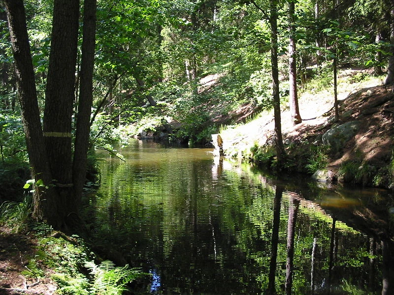 Nature | Nature Wiki | Fandom