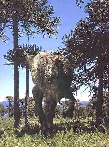 Allosaurus | Nature Wiki | Fandom